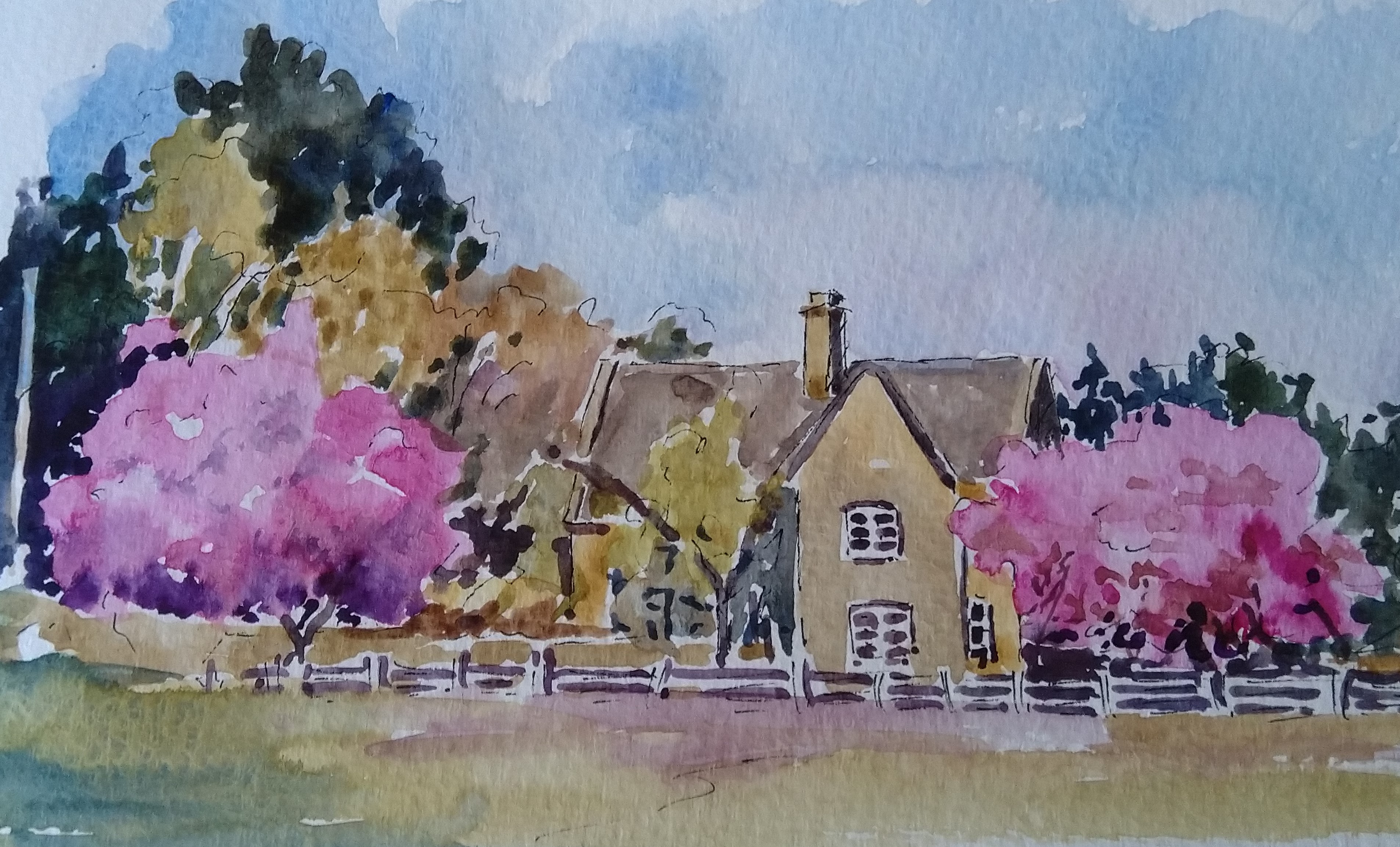 Pink Blossom – Graham Findlay Watercolours